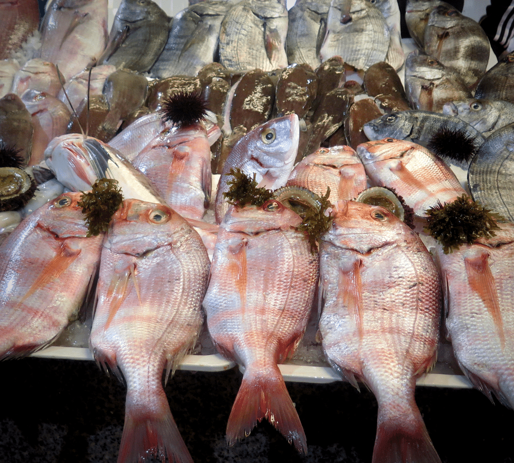 Best Tangier walking tour | Tangier Private Tours